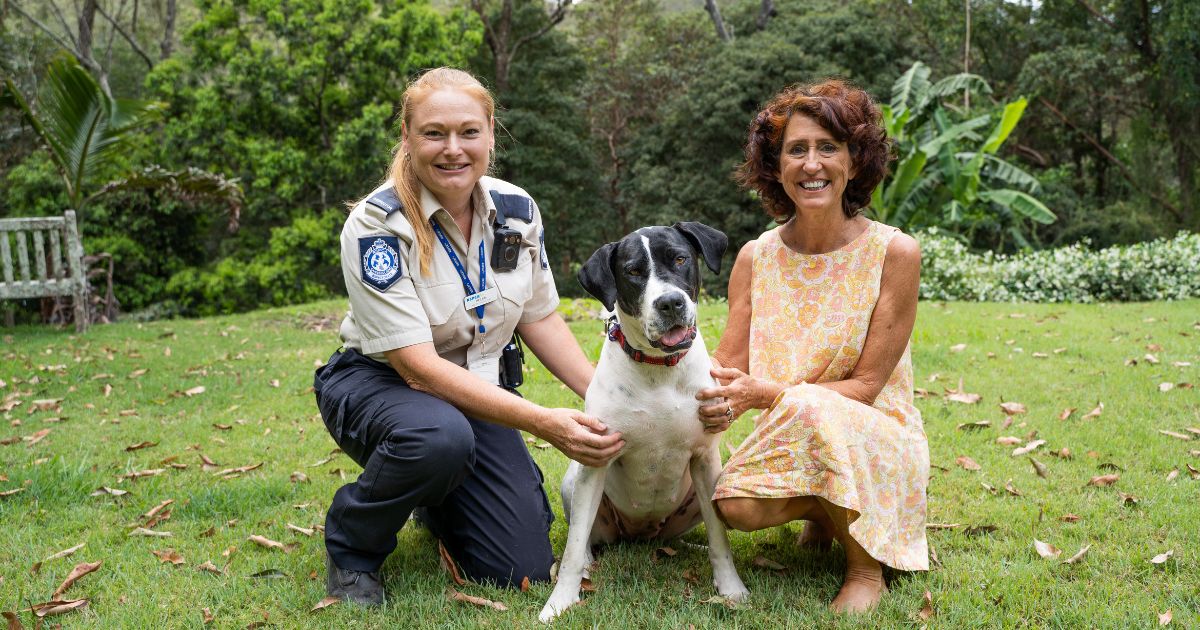 Your support helps dogs like Elly | RSPCA Lottery